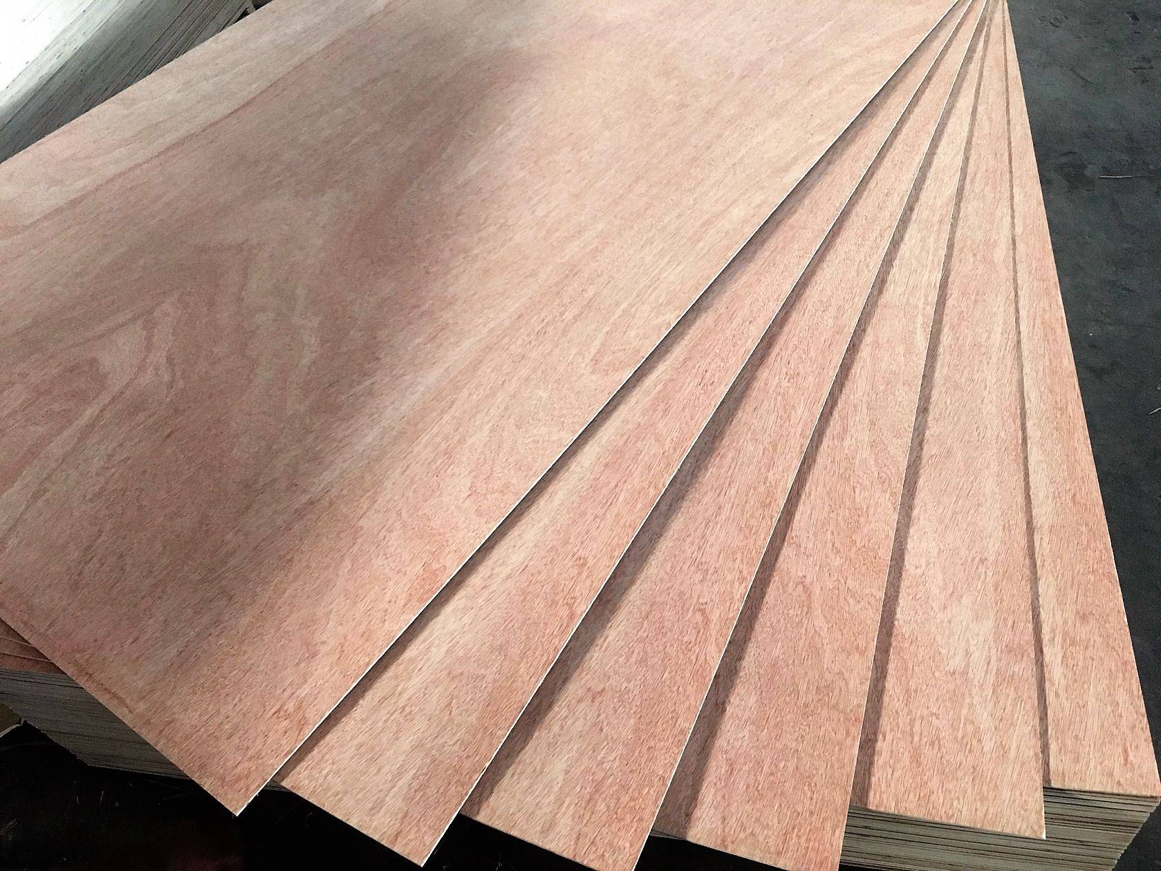 Coated Plywood Berekbek
